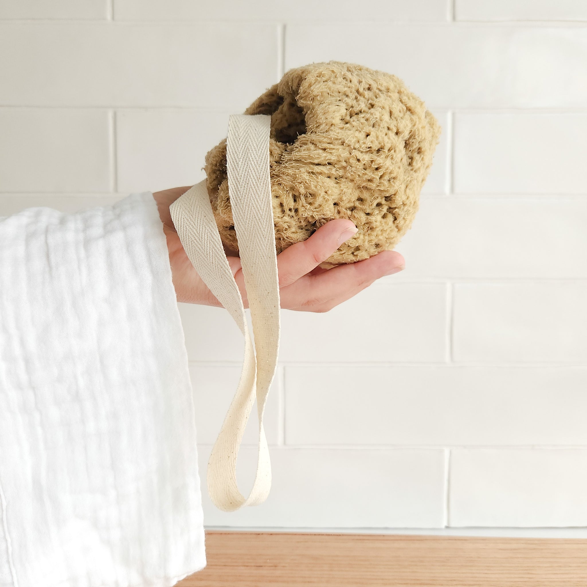 Buy Organic Pohnpei Sea Sponge Online – 39 Degrees